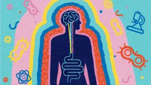 The Microbiota-Gut-Brain Axis and Mood | The CPD Certification Service